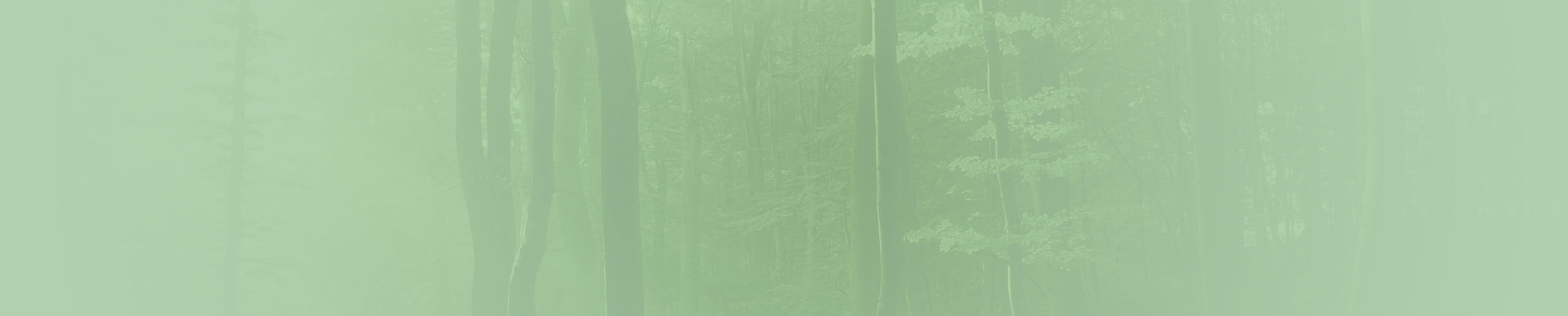 Trees for sale in Vaughan - Caledon Treeland