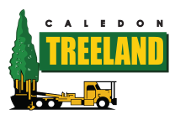 Best Selection of Trees in the GTA - Caledon Treeland