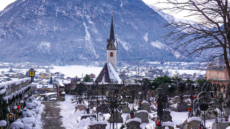 How Winter Tree Planting Can Improve Your Cemetery’s Landscape for ...